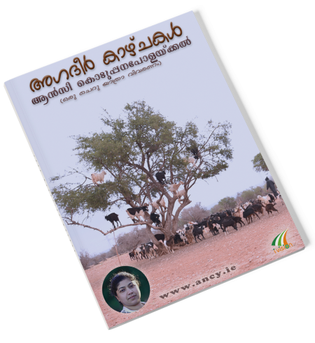 Home - Ancy Koduppana Polackal